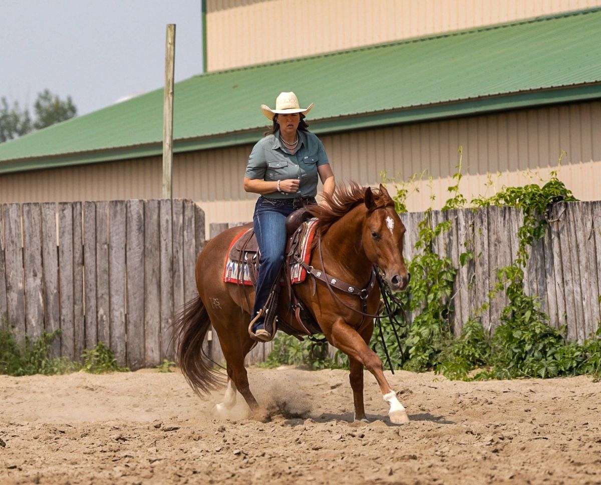 Spark - Excellent Ranch & Roping Horse 4 Yr Old Sorrel AQHA Gelding!