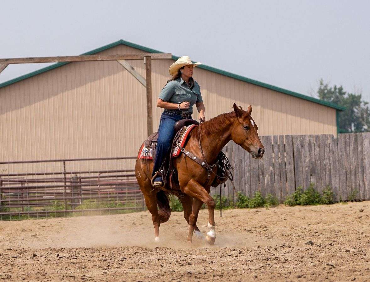 Spark - Excellent Ranch & Roping Horse 4 Yr Old Sorrel AQHA Gelding!