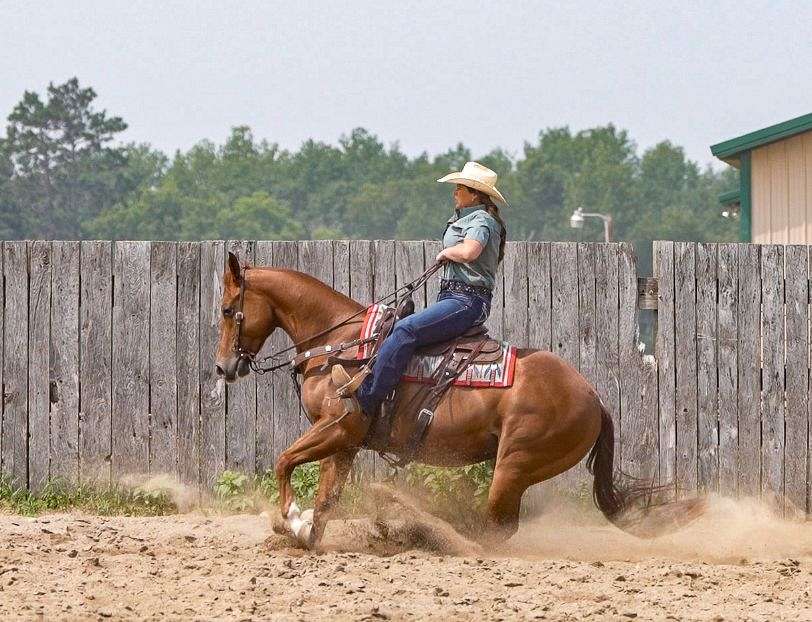 Spark - Excellent Ranch & Roping Horse 4 Yr Old Sorrel AQHA Gelding!