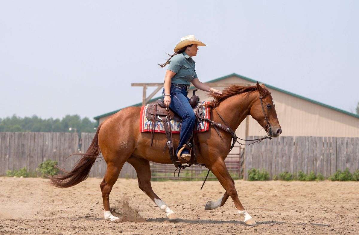Spark - Excellent Ranch & Roping Horse 4 Yr Old Sorrel AQHA Gelding!