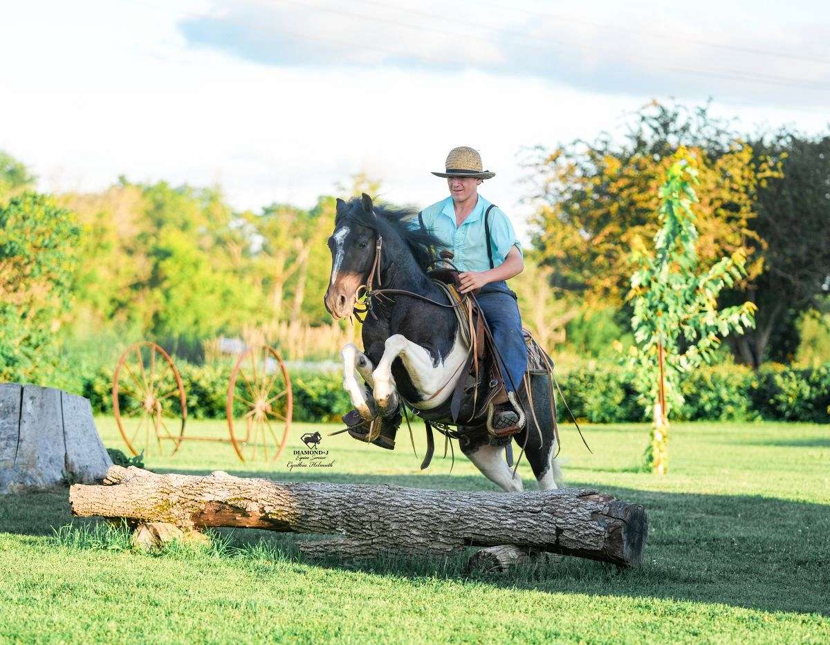 Poncho - Great All-Around Pony 4 Yr Old Blue Roan Paint Pony Gelding!
