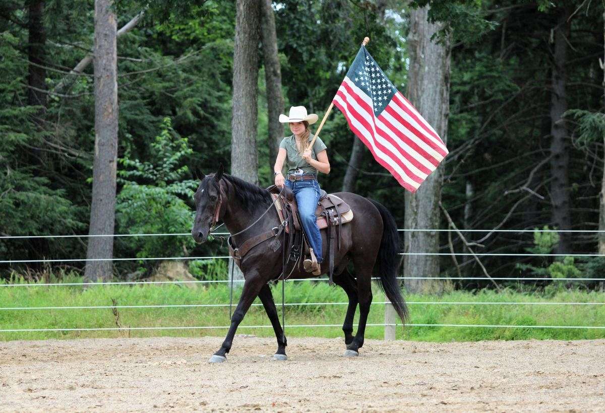 Pistol - Super Nice All-Around Horse 12 Yr Old Black Quarter Horse Gelding!