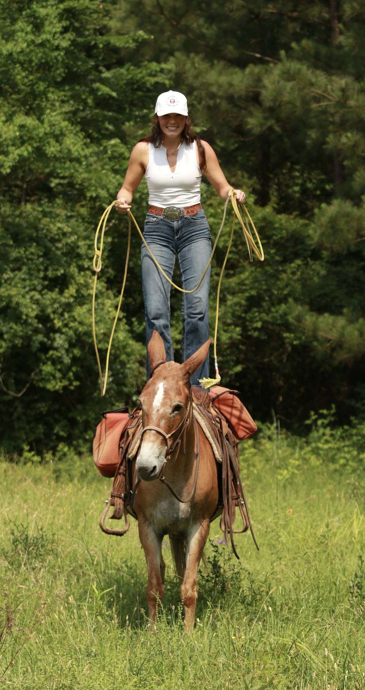 Paris - Super Cool Ranch & Trail Deluxe 8 Yr Old Red Dun Molly Mule!