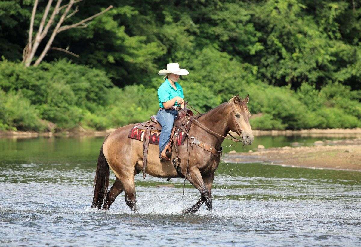 Cricket - Fabulous Ranch & Trail Horse 10 Yr Old Buckskin AQHA Gelding!
