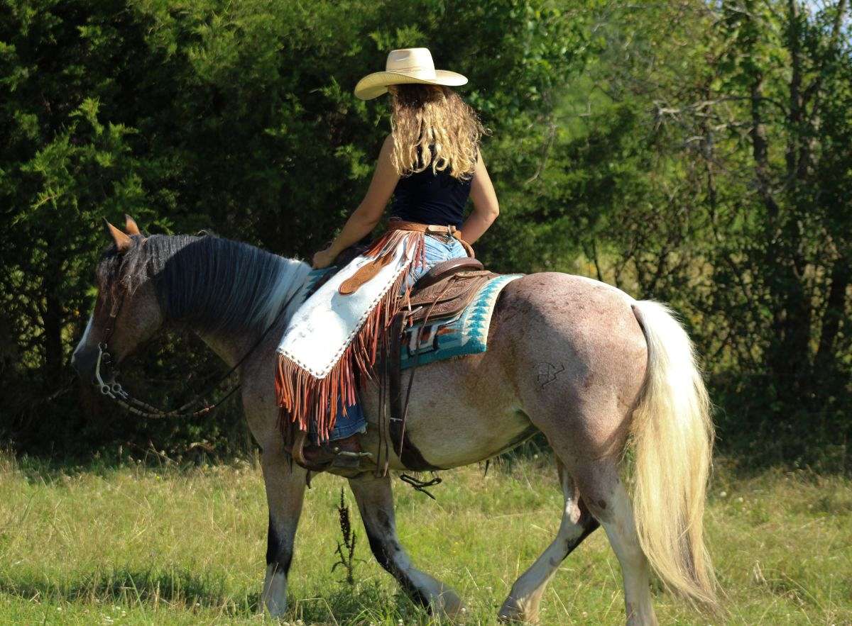 Bell Bottom - Built to Shine, Ready to Work 5 yo Paint Gypsy Cross Mare!