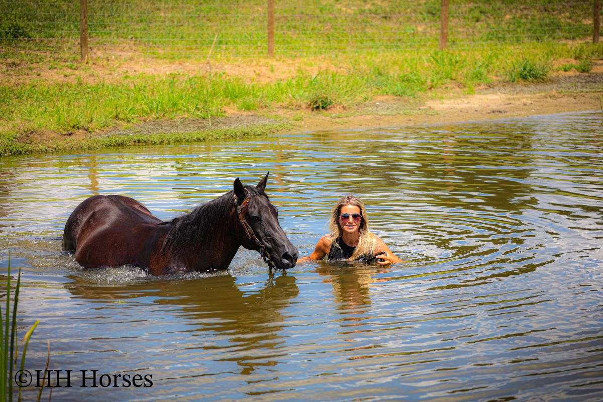 Super Nice Black Quarter Horse Mare, Trail Ride, Rope, Ranch