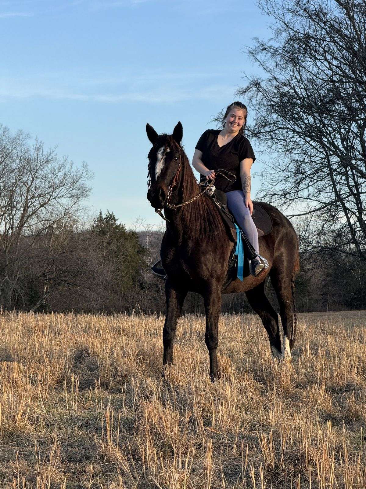 6 Year Old Appendix Mare