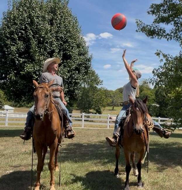 Gypsy Quarter Cross Gelding - Rides English and Western