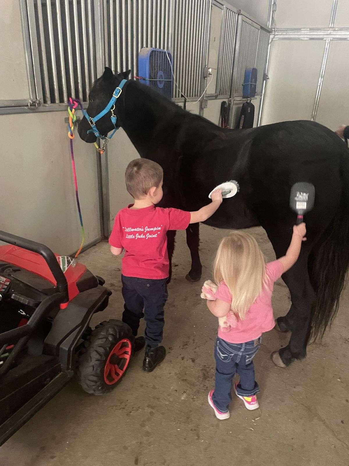 Super Cute and Versatile 7 Yr Old Black Pony Gelding!