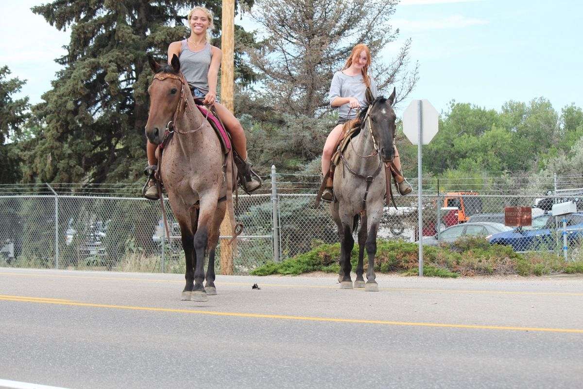 Drop Dead Gorgeous and Talented 3 Yr Old Grullo Roan AQHA Gelding!