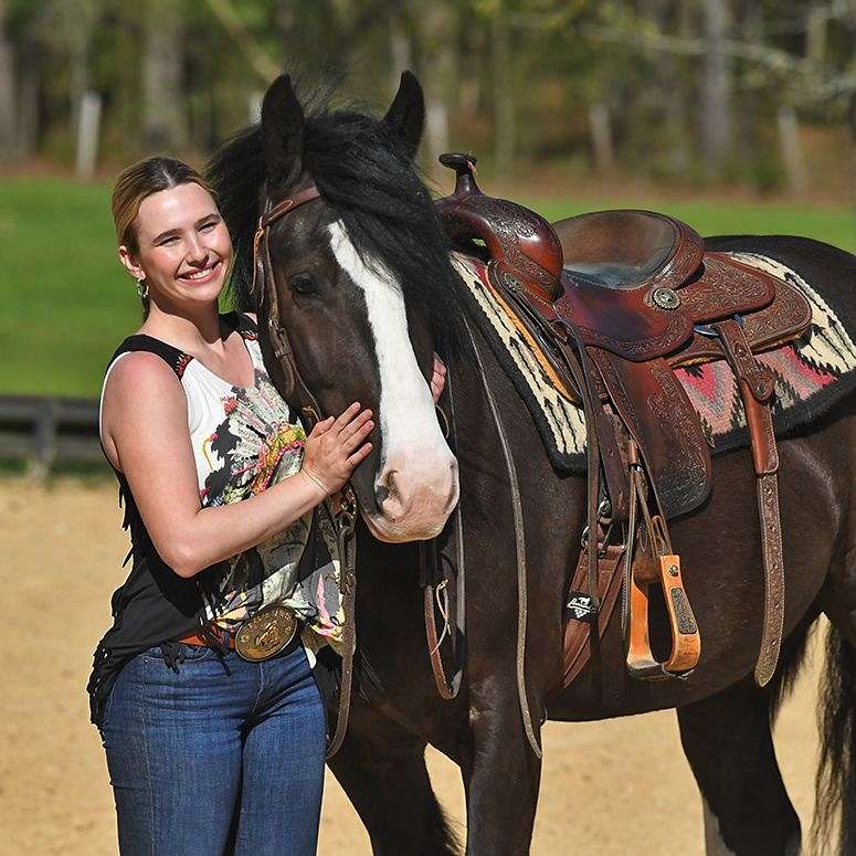Dominic- Gorgeous Black Gypsy Vanner English, Western, Trails & More!