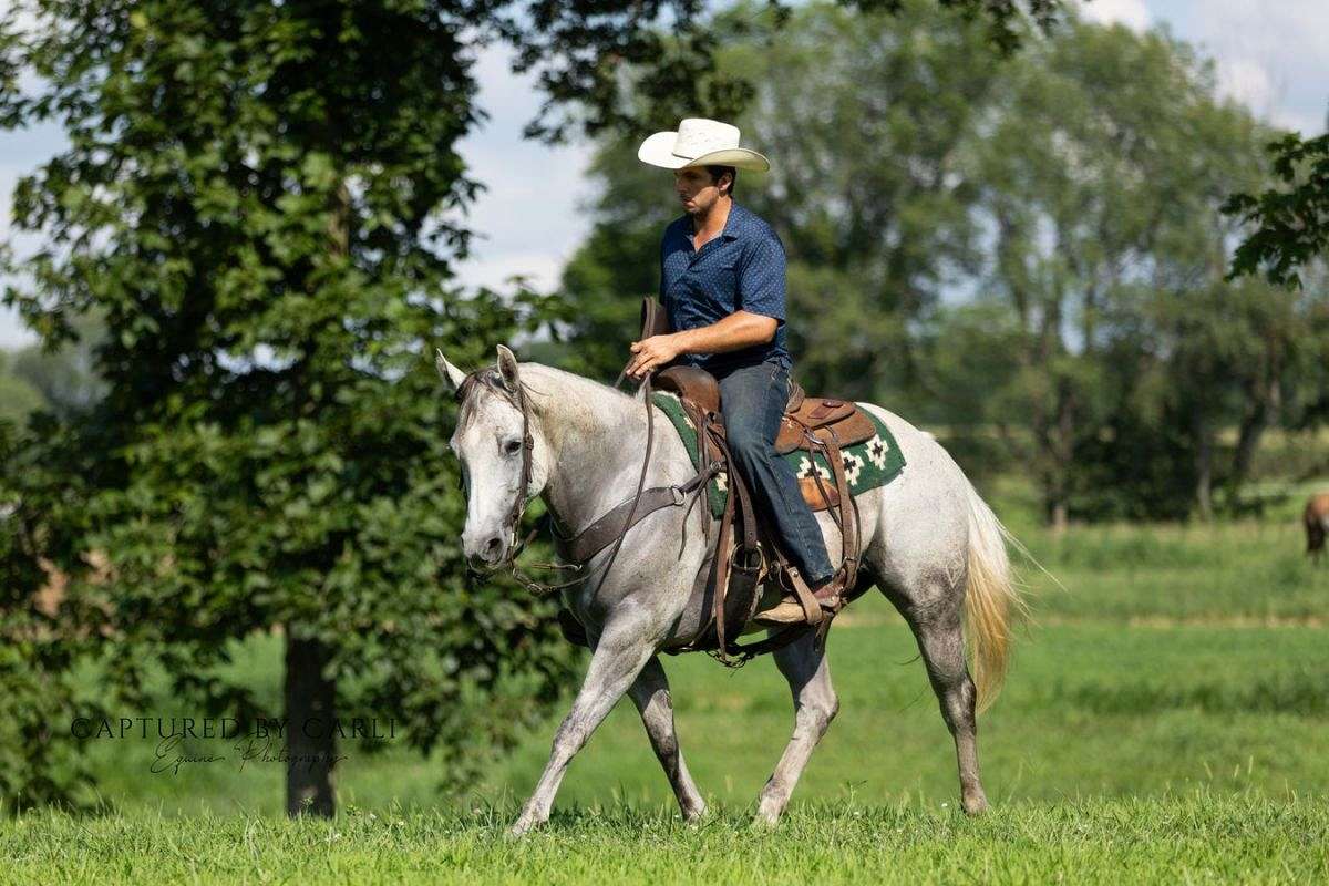 Vegas - Versatile, Seasoned, & Classy 8 Yr Old Gray AQHA Mare!