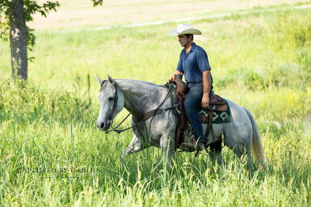 Vegas - Versatile, Seasoned, & Classy 8 Yr Old Gray AQHA Mare!