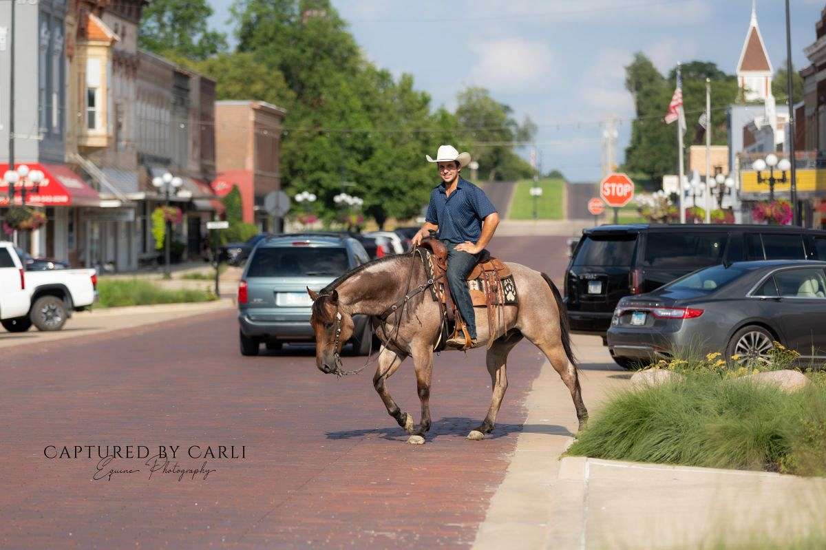Cotton - Super Rope Horse Prospect 5 Yr Old Bay Roan AQHA Gelding!