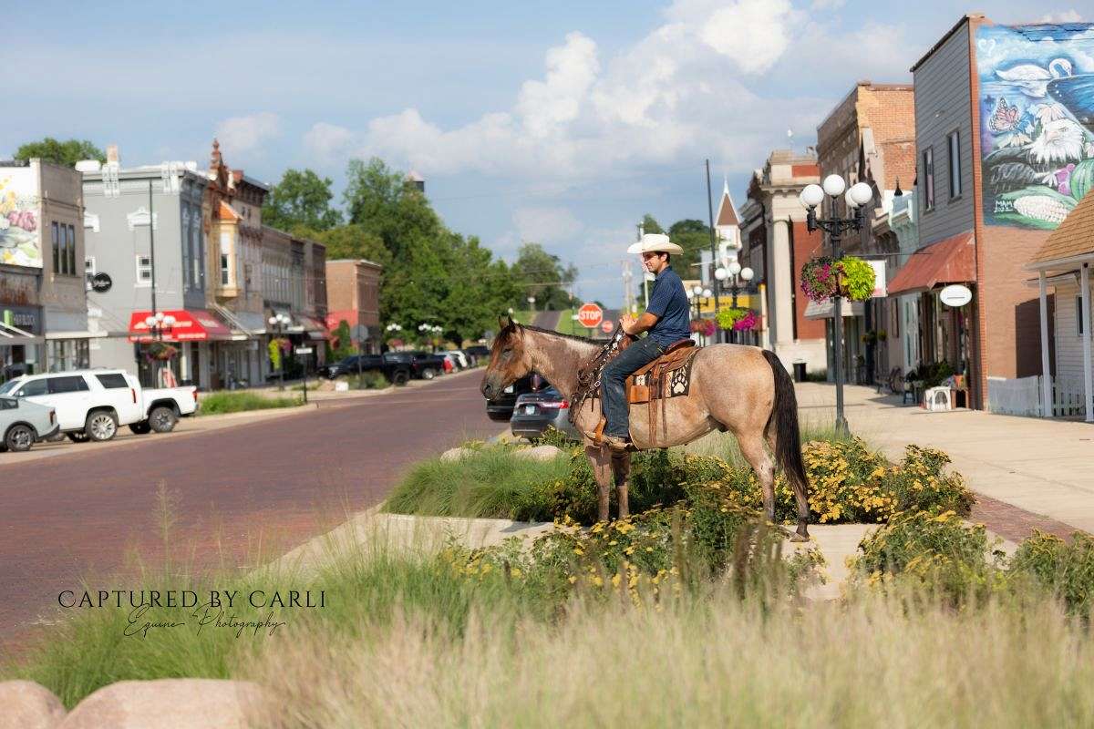 Cotton - Super Rope Horse Prospect 5 Yr Old Bay Roan AQHA Gelding!