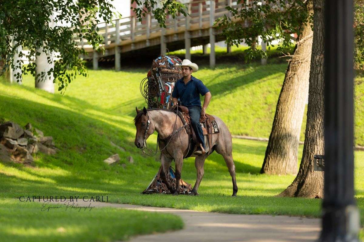 Cotton - Super Rope Horse Prospect 5 Yr Old Bay Roan AQHA Gelding!