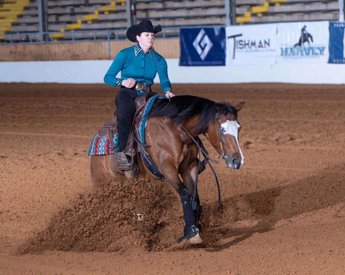 Stella - Finished Reining Horse 6 Yr Old Bay AQHA Mare!