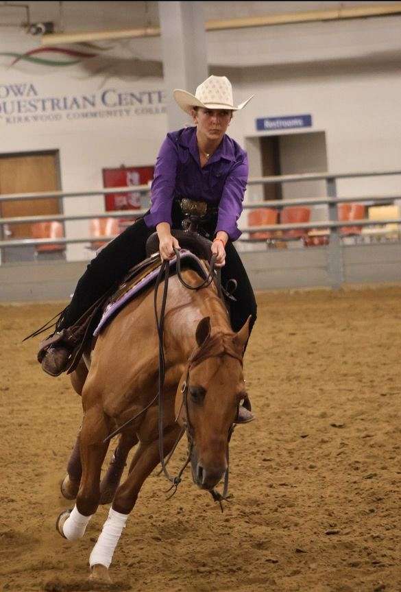 Huey - Finished Reiner & Ranch Riding Horse 6 yo Red Dun AQHA Gelding!