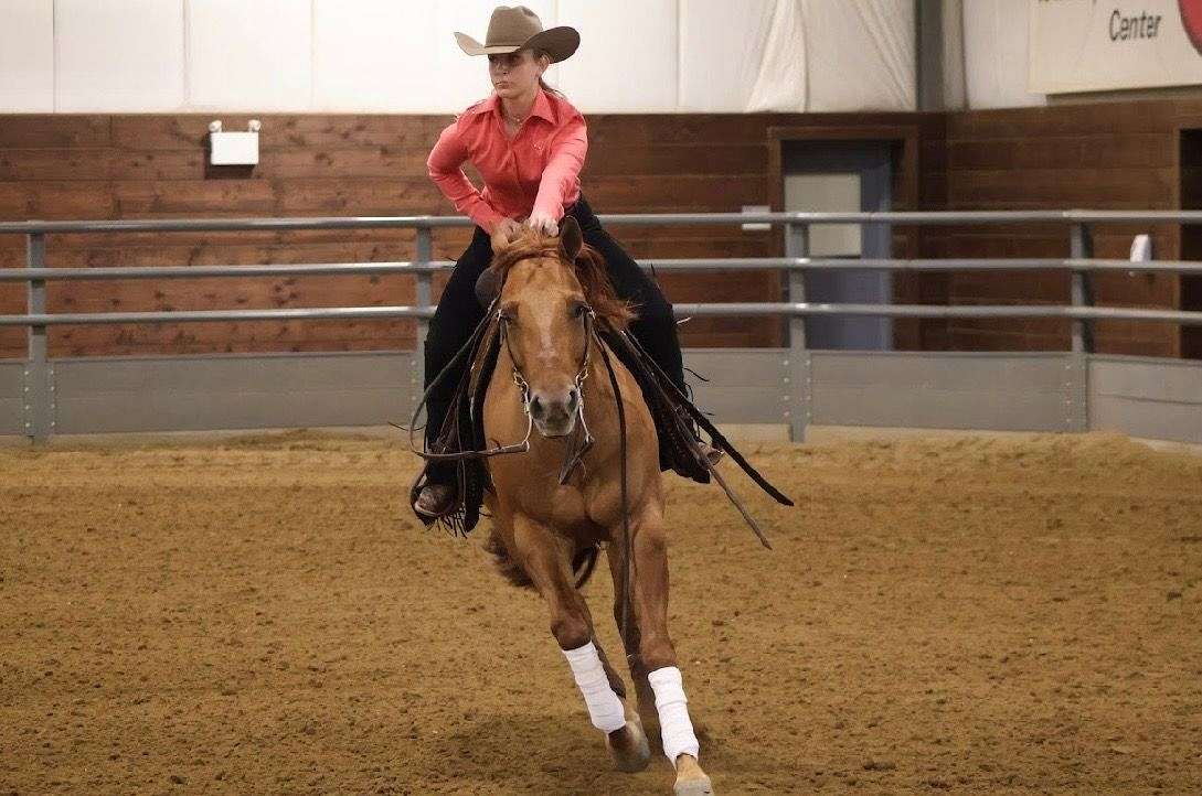 Huey - Finished Reiner & Ranch Riding Horse 6 yo Red Dun AQHA Gelding!