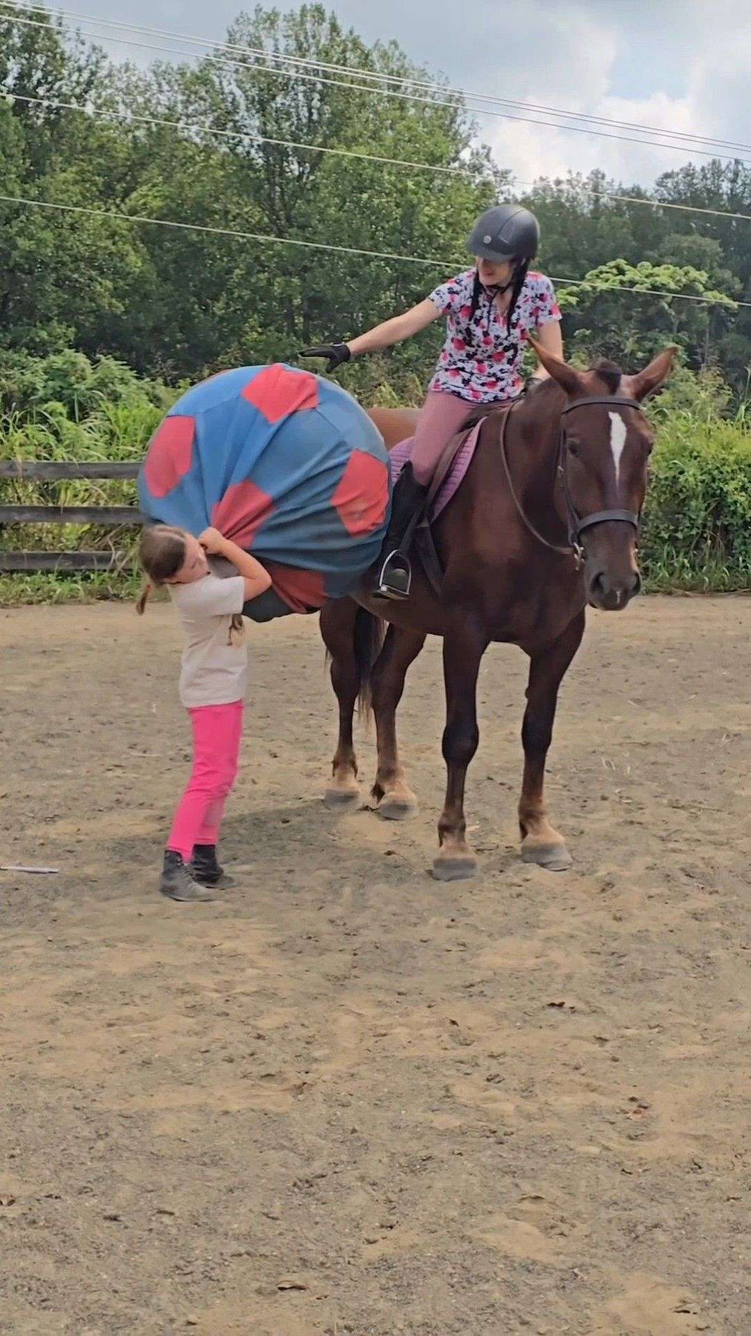 One of a Kind Darling 5 Yr Old Liver Chestnut Draft Cross Mare!