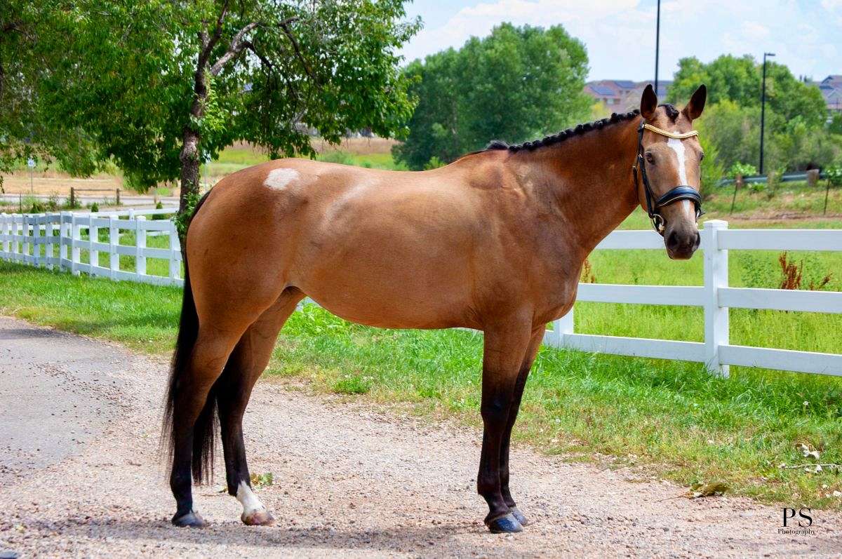 Upper Level Prospect