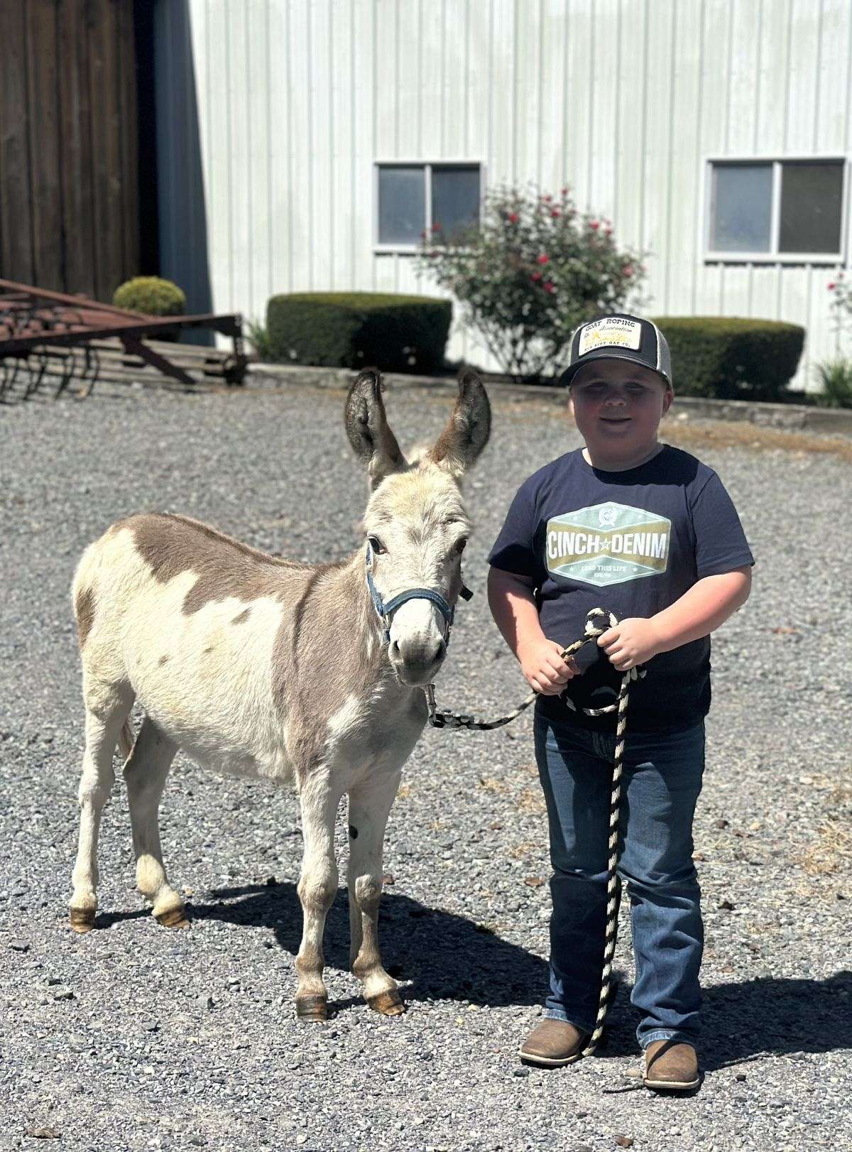 The Friendliest Little Donkey You’Ll Ever Meet
