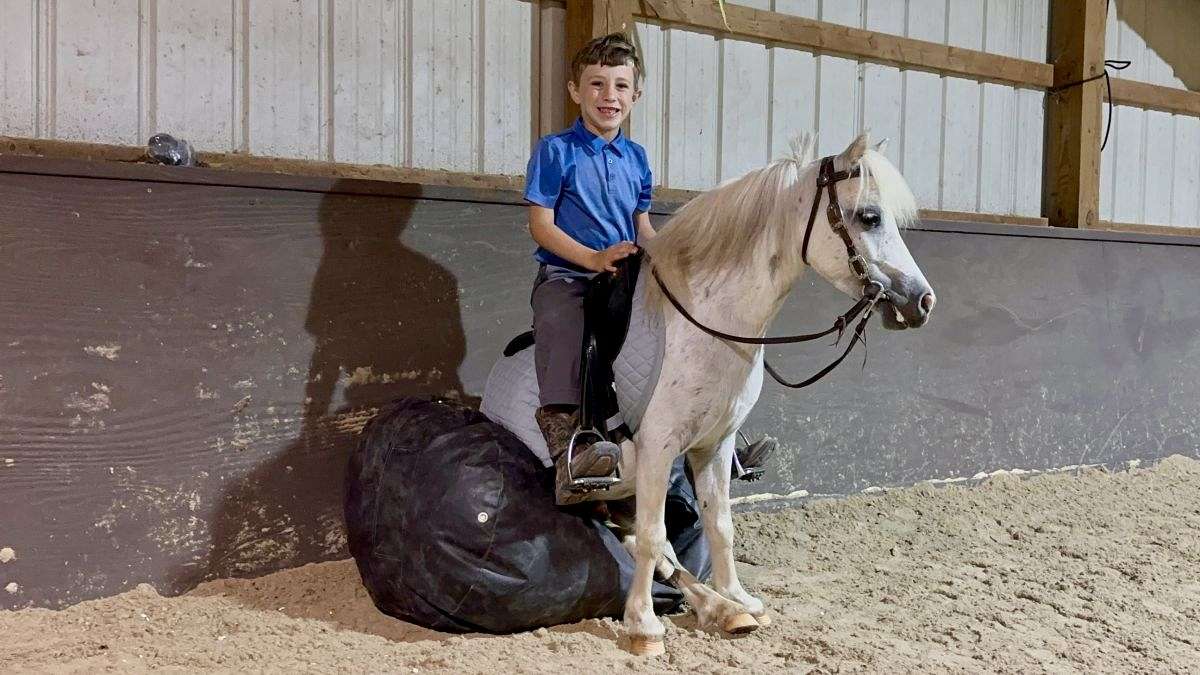 Mini Horse, Major Fun – Marshmallow is Ride, Drive, and Trick Broke!