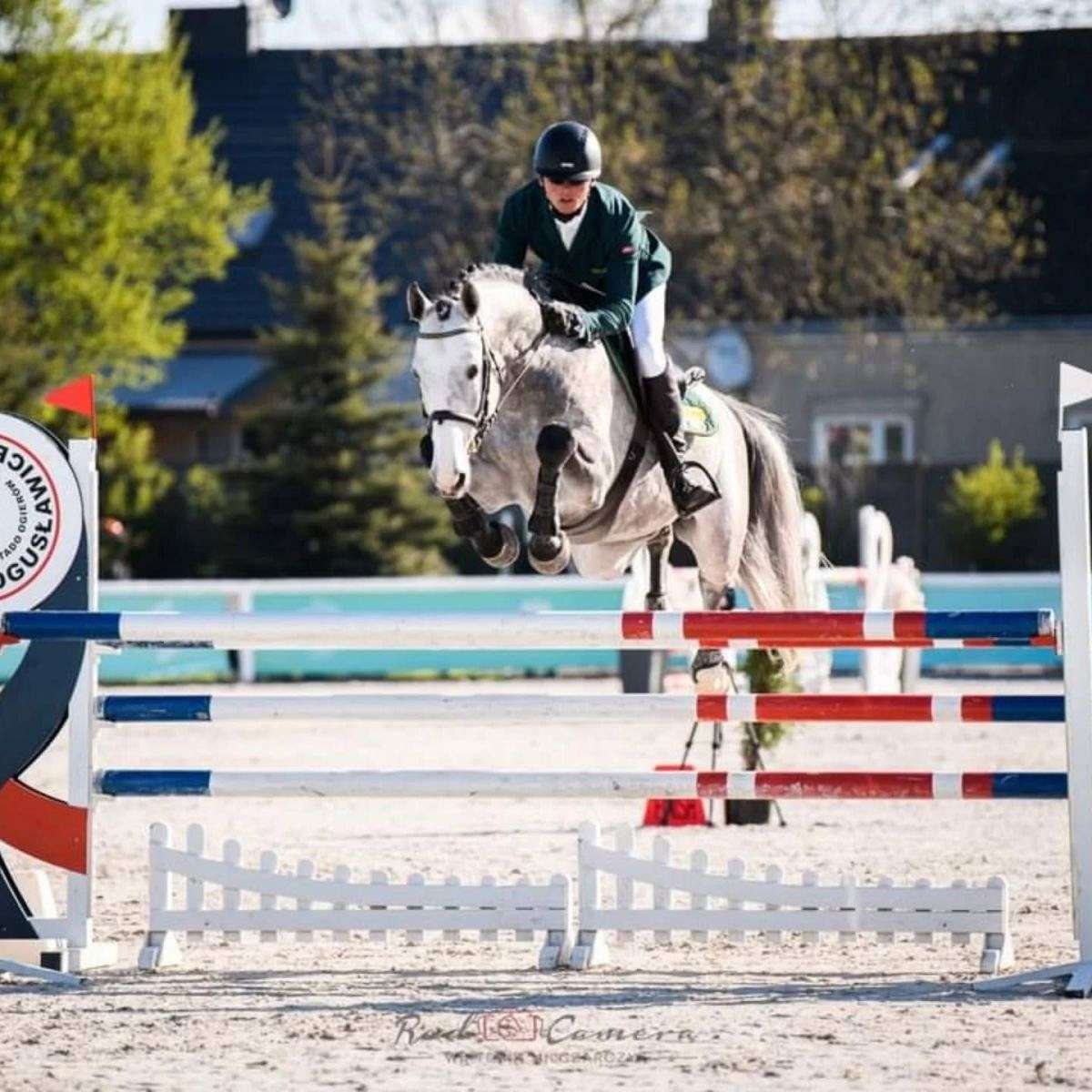 Maitiid- KWPN Stallion by Corland
