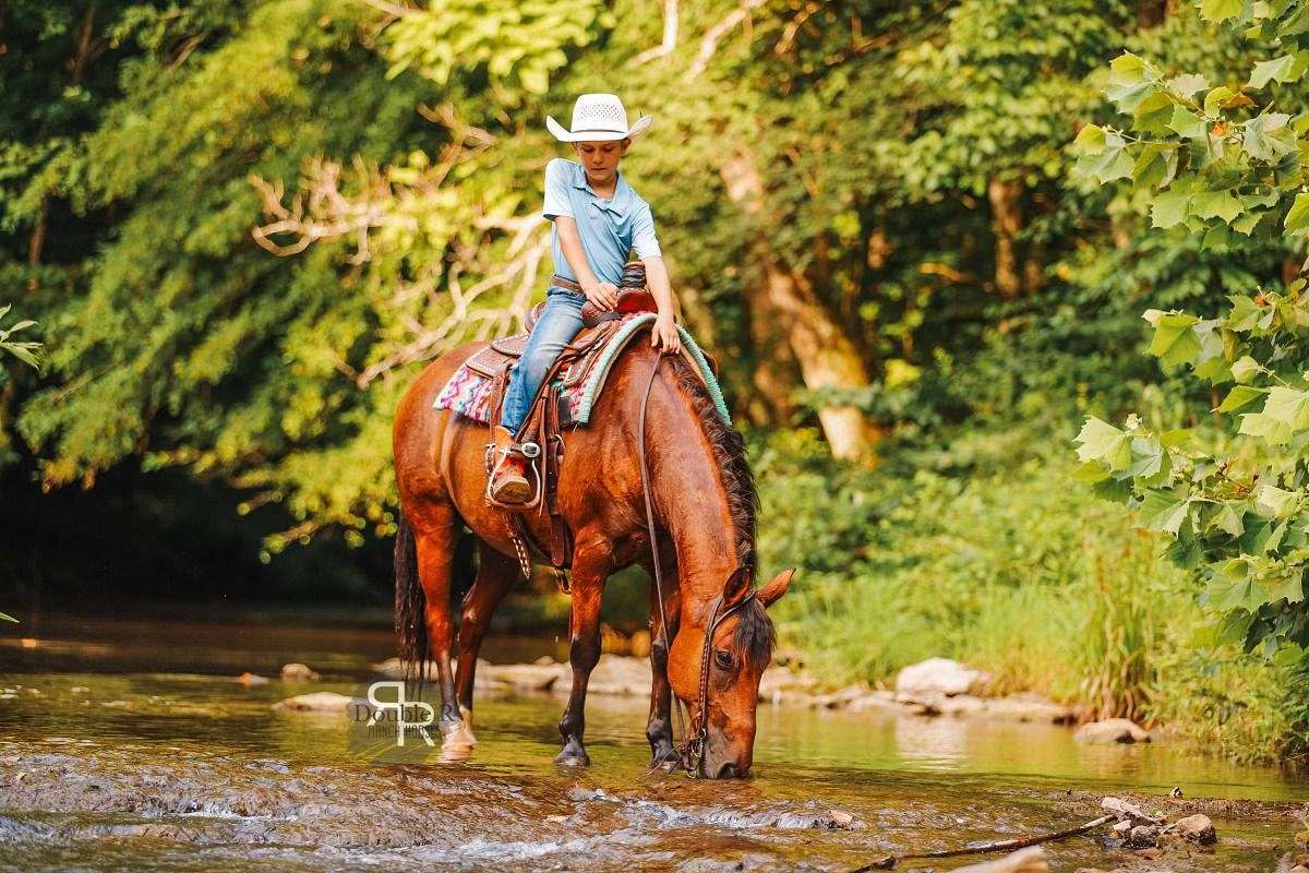 Toad - Kids Pony Deluxe 11 Yr Old Bay Welsh Pony Gelding!