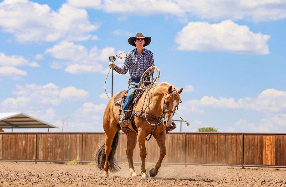 Swagger - Impeccable Ranch & Trail Horse 5 Yr Old Palomino AQHA Gelding!