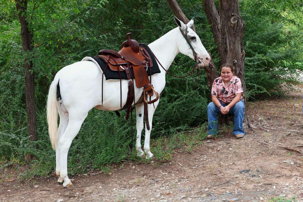 Marshmallow - the Ultimate Bombproof 15 Yr Old Paint Molly Mule!