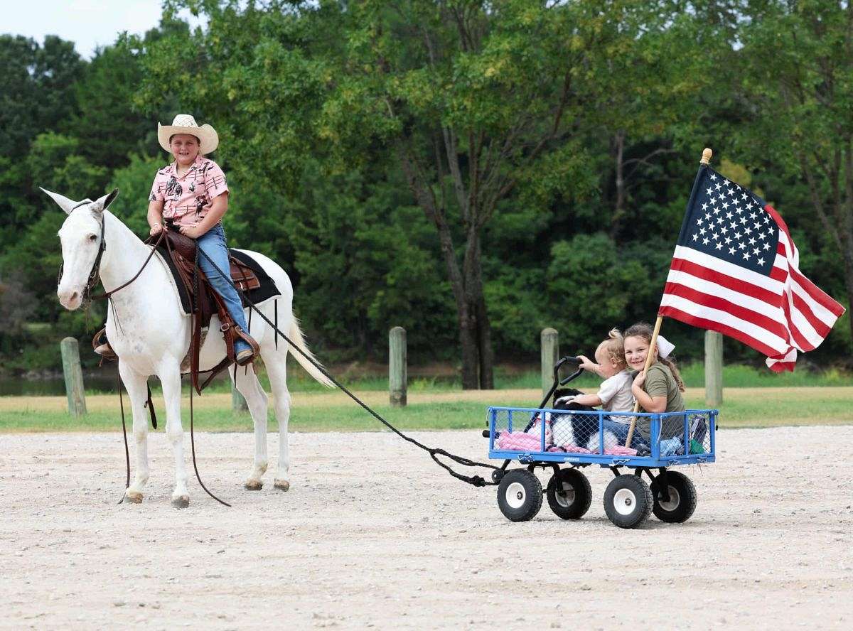 Marshmallow - the Ultimate Bombproof 15 Yr Old Paint Molly Mule!