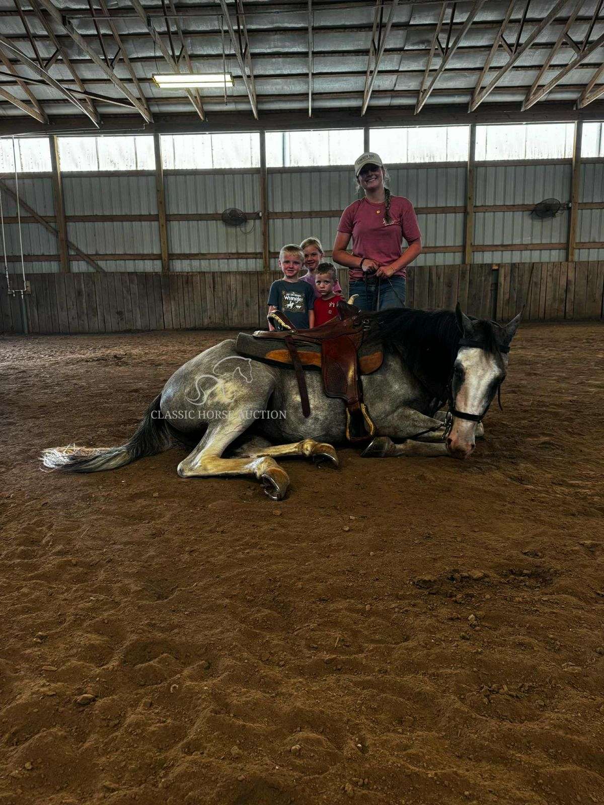 Top Tier Registered Mare