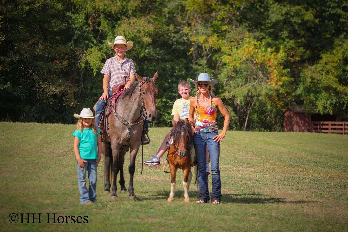 Gentle AQHA Registered Bay Roan Mare, Quiet Natured, Rides Nice