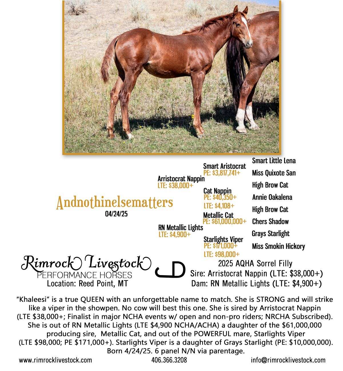 Nrcha She’S Got It. Metallic Cat X Grays Starlight