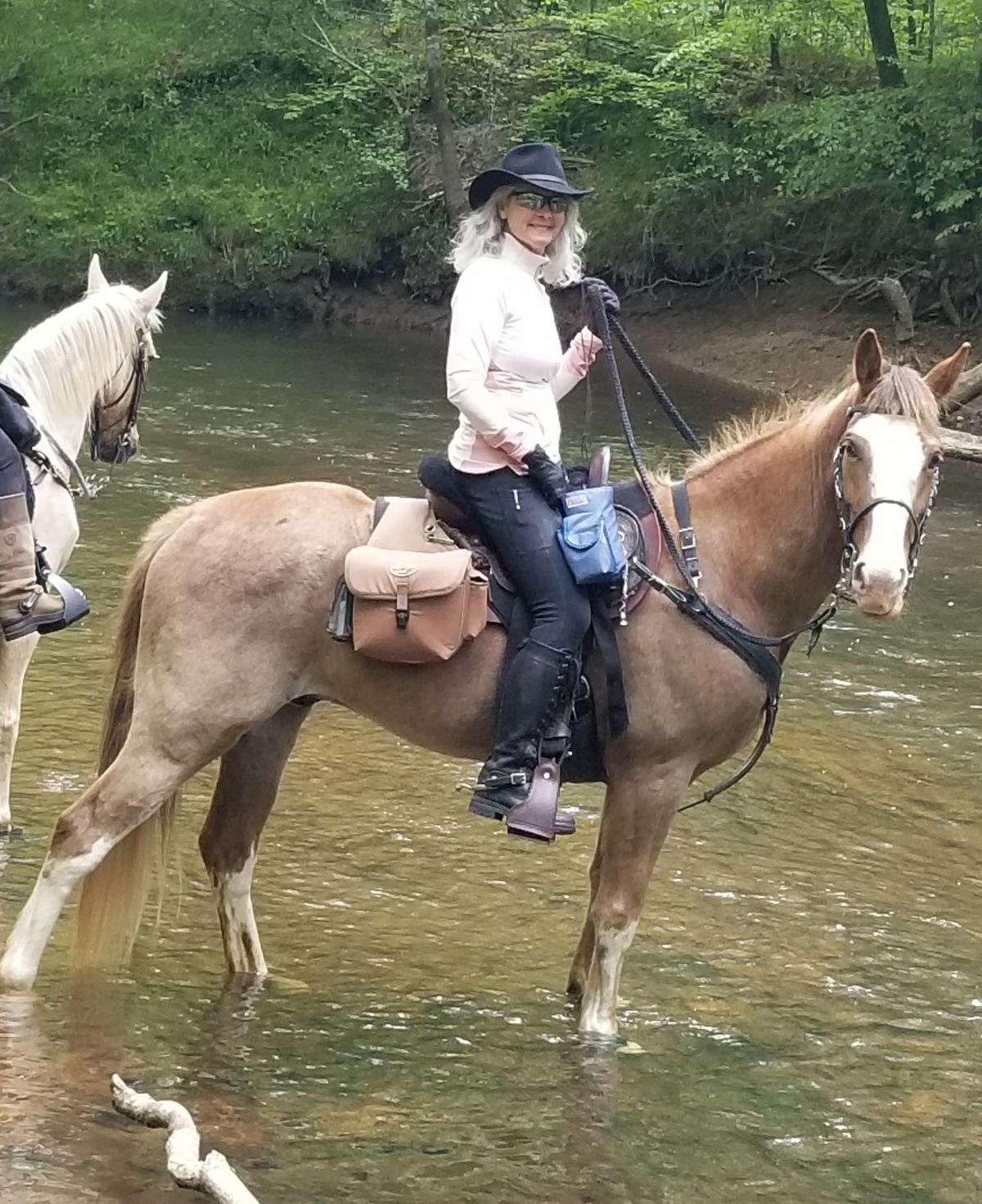 Chestnut Sabino TWH Gelding
