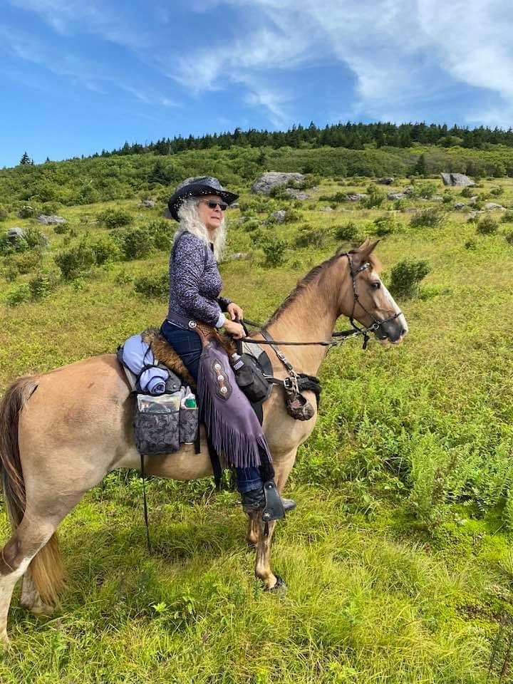 Chestnut Sabino TWH Gelding