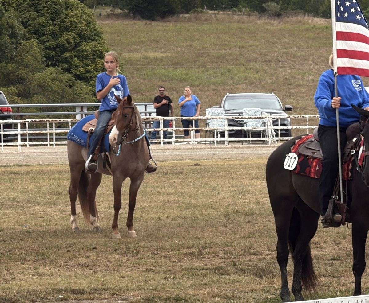 Stunning Gaited Ranch Horse Deluxe 4 Yr Old Missouri Fox Trotter Mare!