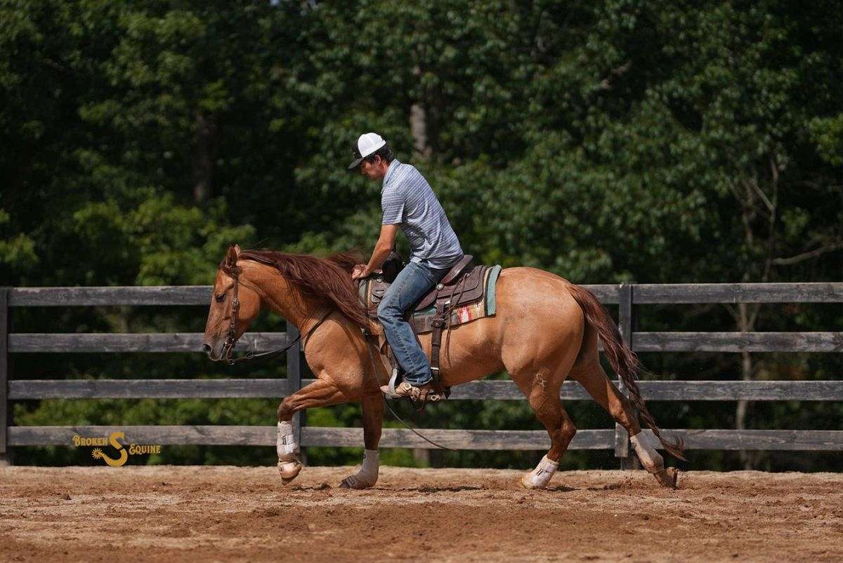 Sf Definitely Fun - Phenomenal All Around Horse 4 yo Dun AQHA Gelding!