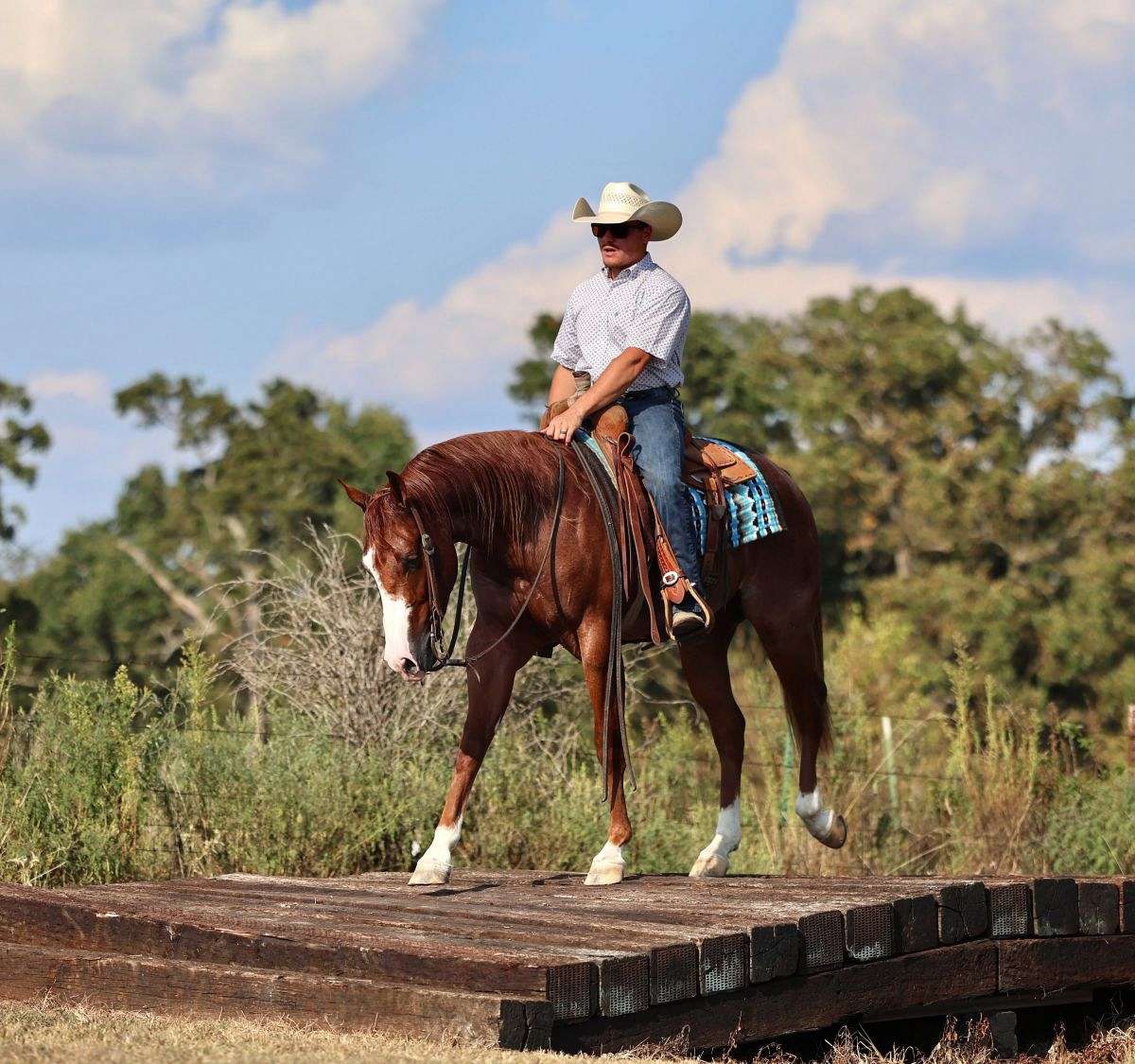 Jack - Exceptional Ranch & Reining Prospect 2 Yr Old Red Roan AQHA Gelding!