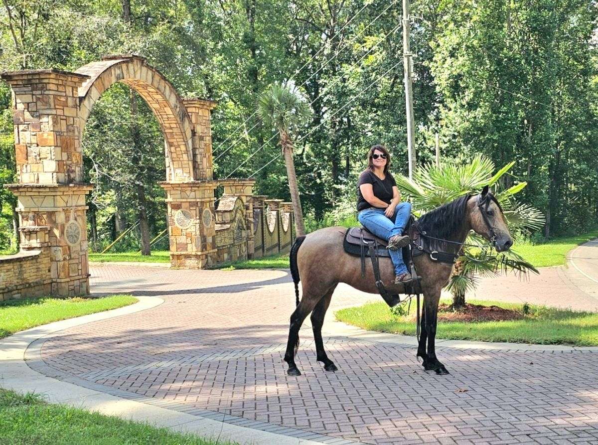 Bottega *Flashy *Buckskin *Gaited *Fun *Versatile *Show *Trail *Mare