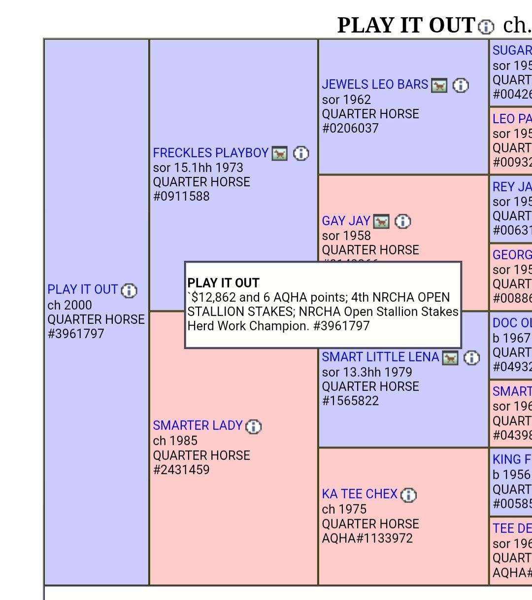 Cow/Ranch/Reining Prospect With Legendary Bloodlines