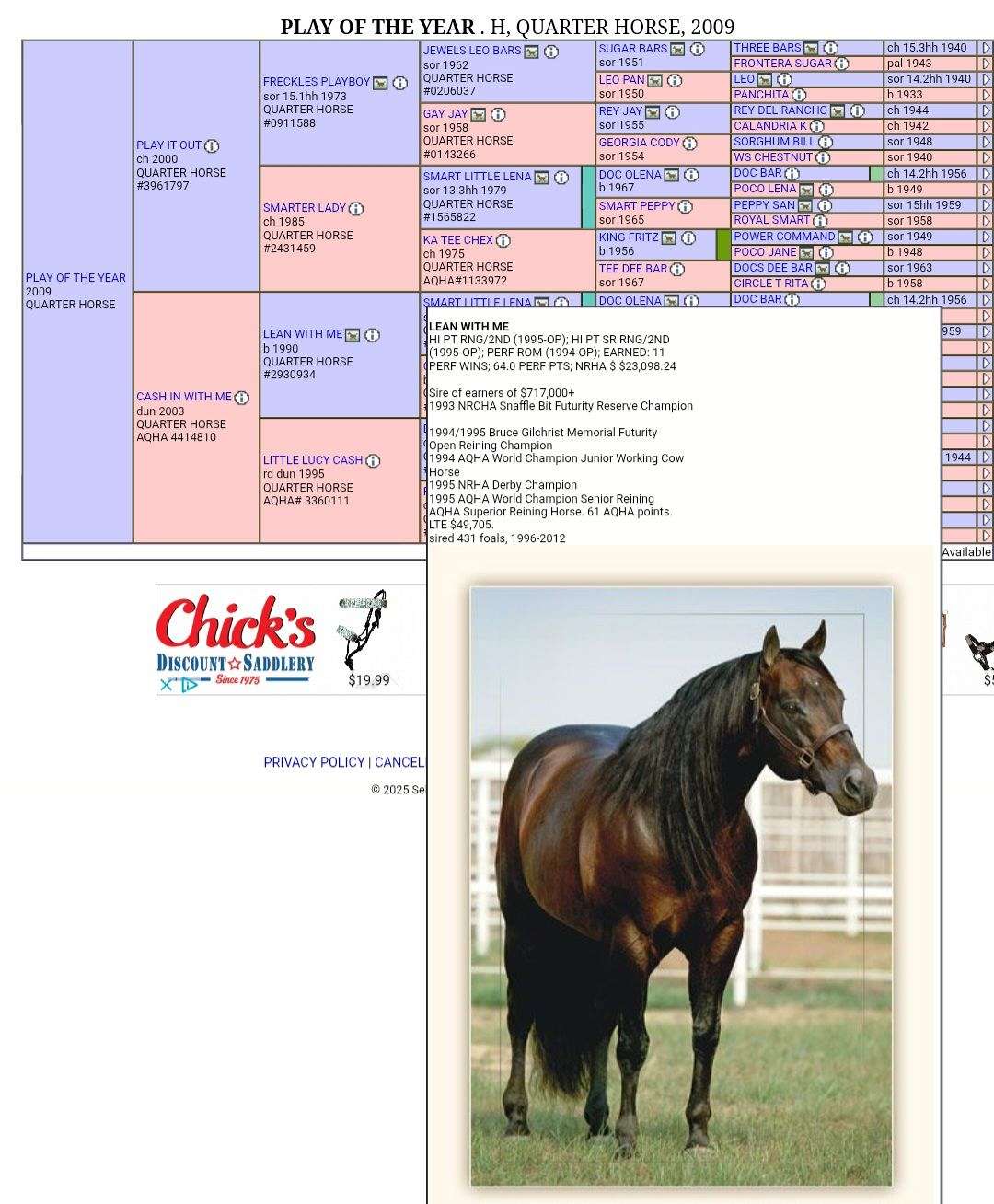 Cow/Ranch/Reining Prospect With Legendary Bloodlines