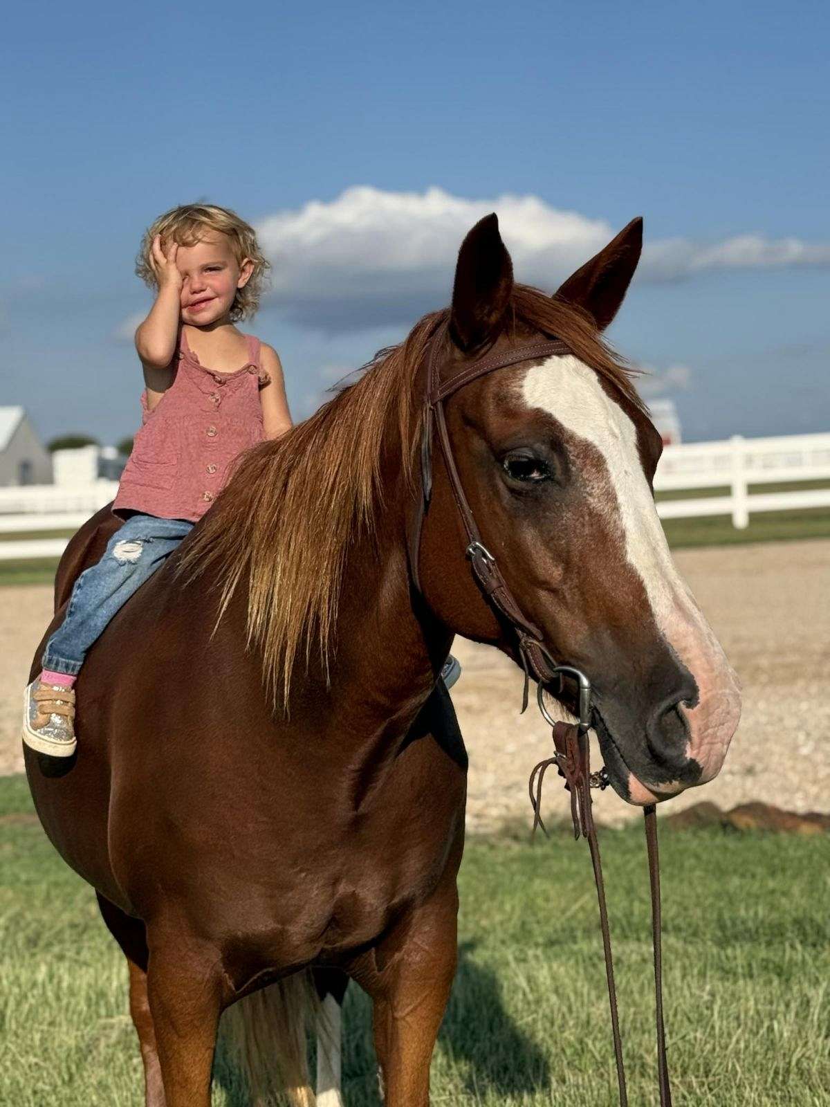Sweet Family Horse Deluxe 12 Yr Old Sorrel Quarter Horse Mare!