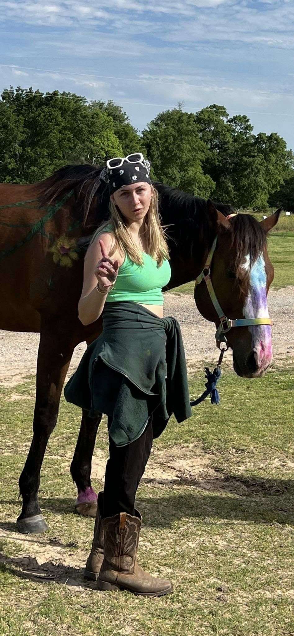 OTTB Turned Hunter/Jumper