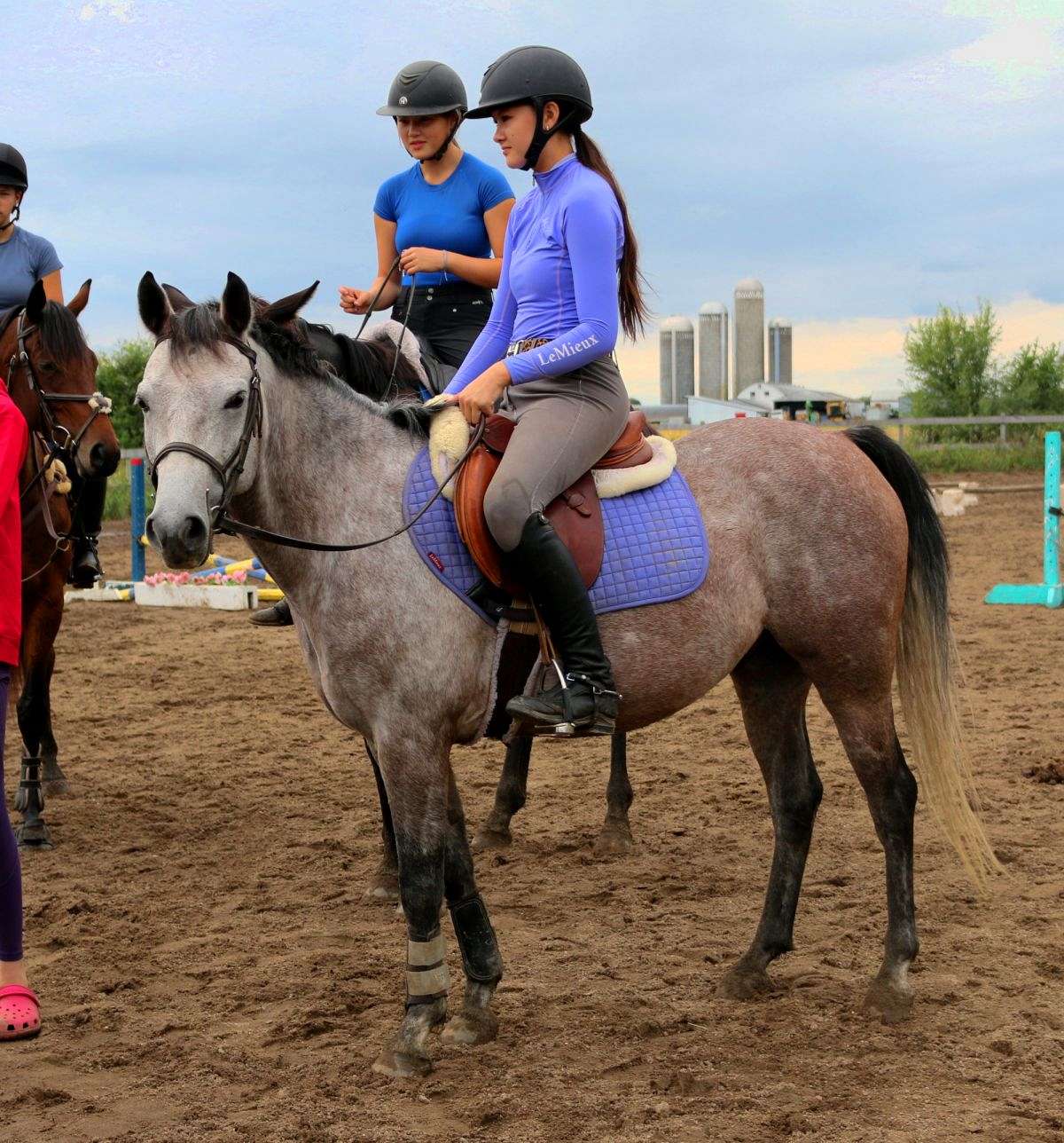 Upper Level Jumper/Eventer Prospect for Kids