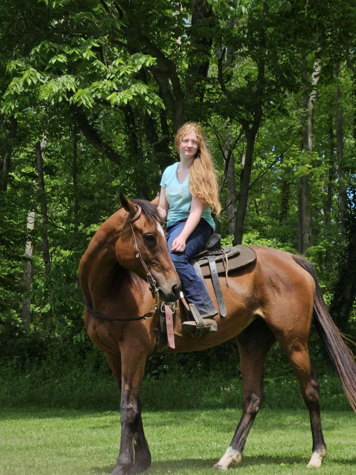 10 Year Old OTTB Mare