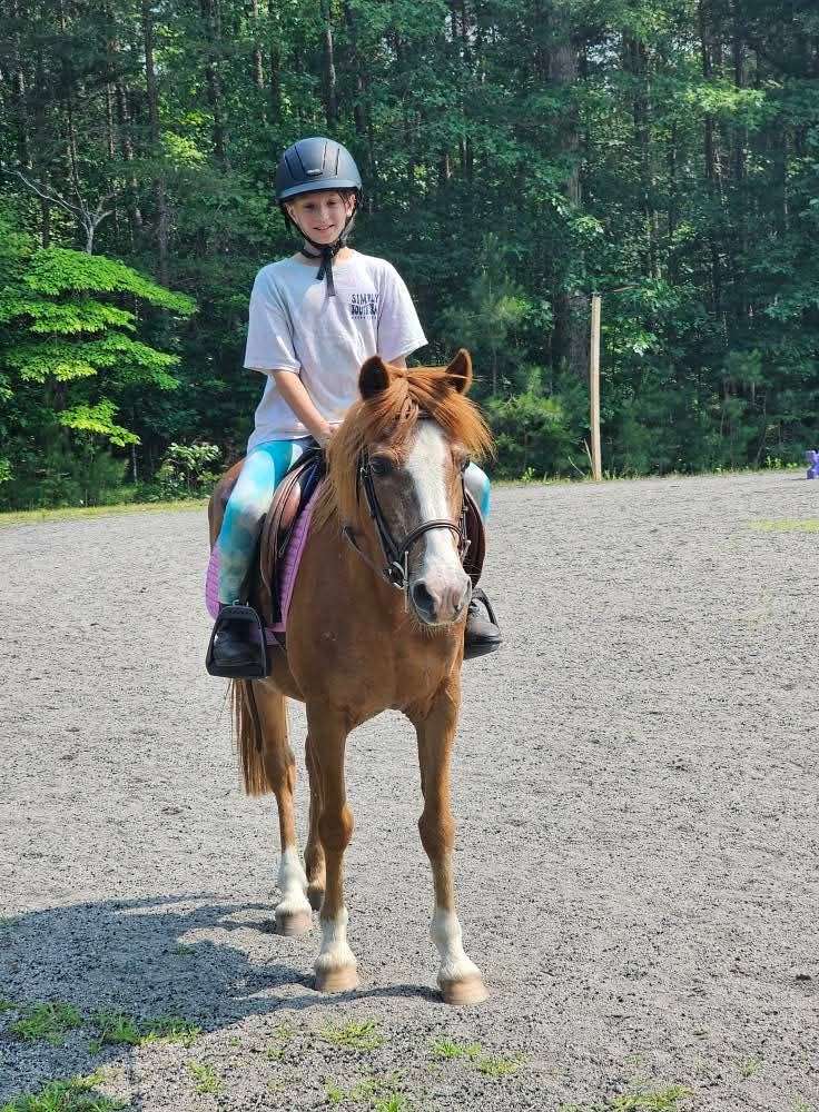 Sophie - Perfect Walk/Trot Pony to Teach Your Kids!