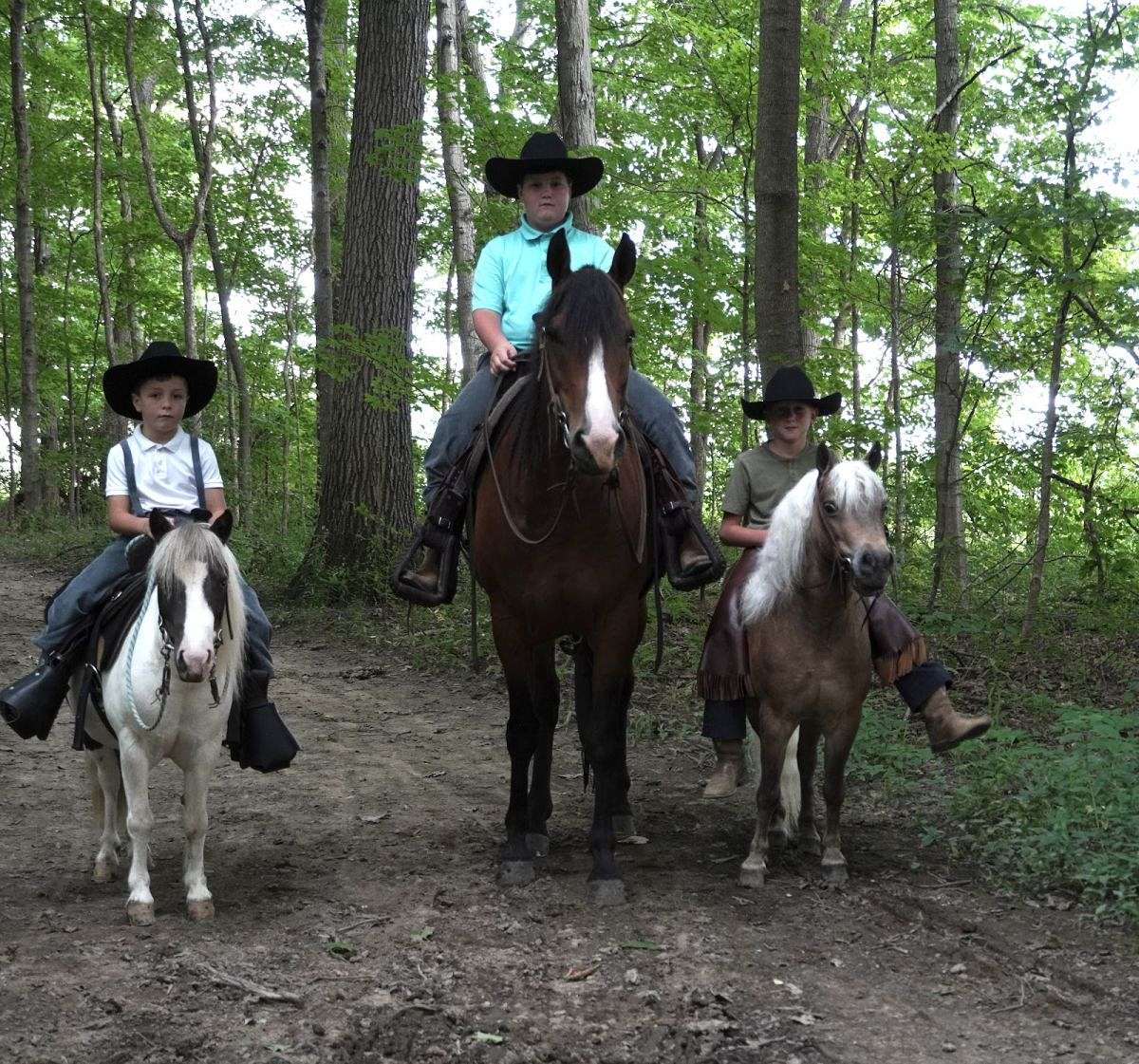 Ranger - Super Sweet & Cute 8 Yr Old Silver Buckskin Pony Gelding!