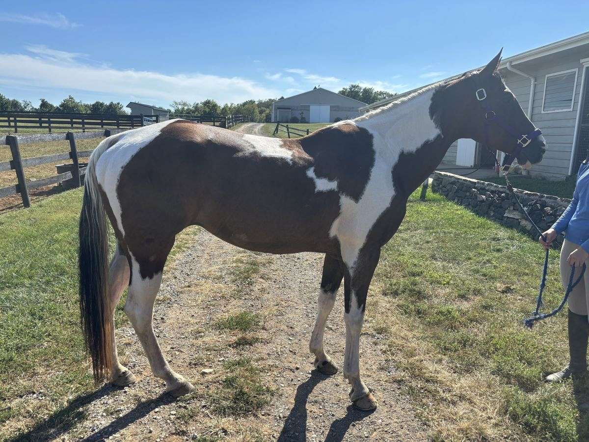 Beginner and Kid Friendly